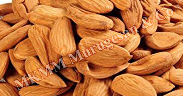 Badham nut, almond