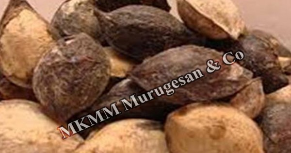 Almond seeds (Badham kottai)