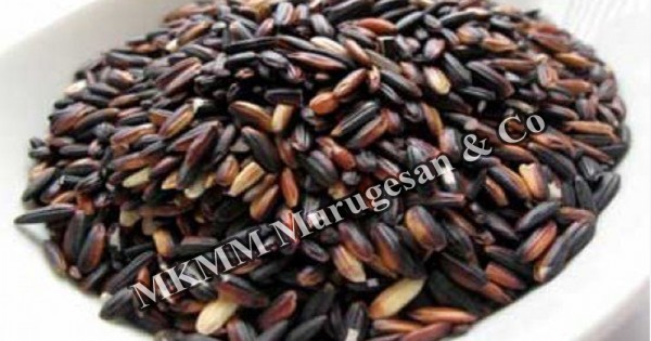 Babchi rice - Sammangi vidhai - Karboga arisi