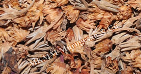 Spanish cherry flower (Magilam Poo)