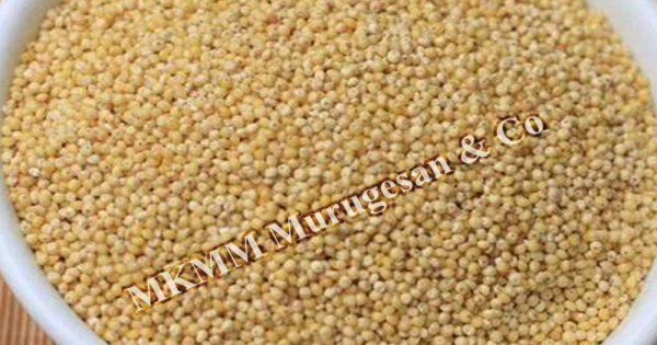 Kodo millet rice (Varagu / varagarisi)